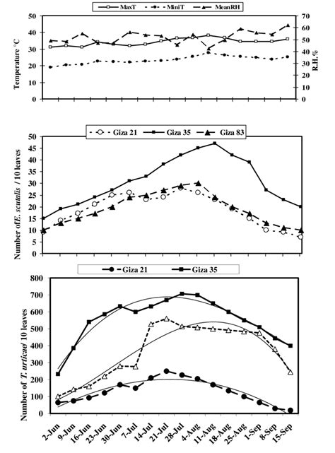 Population Fluctuation Of Tetranychus Urticae And Euseius Scutalis On