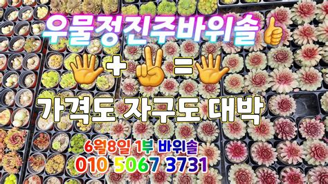 우물정진주바위솔 🖐 ️ 더드리는 💣 가격으로 만나요 Youtube