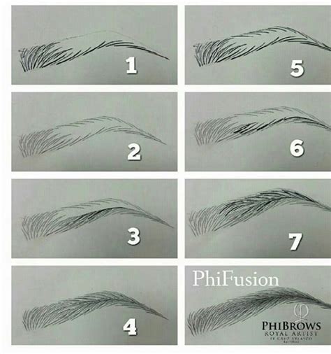 The Best How To Draw Eyebrows Easy Step By Step For Beginners Greatblackgraphic