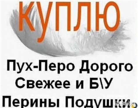 ПОКУПАЮ ПУХ ПЕРО ГУСЯ УТКИ СВЕЖОЕ СТАРОЕ МОКРОЕ И СУХОЕ ДОРОГО ТАК ЖЕ СТАРЫЙ ПЕРИНЫ И ПОДУШКИ