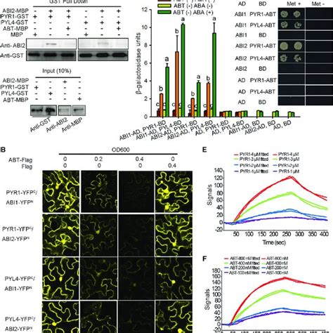 Interactions Between Abt And Aba Core Signaling Components Download