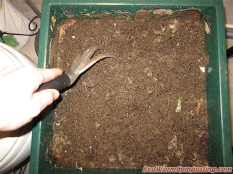 Worm Factory 360 3 02 12 Red Worm Composting