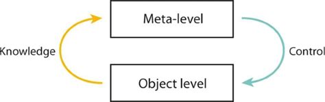 Metacognition Ideas And Insights From Neuro And Educational Sciences Lifeboat News The Blog