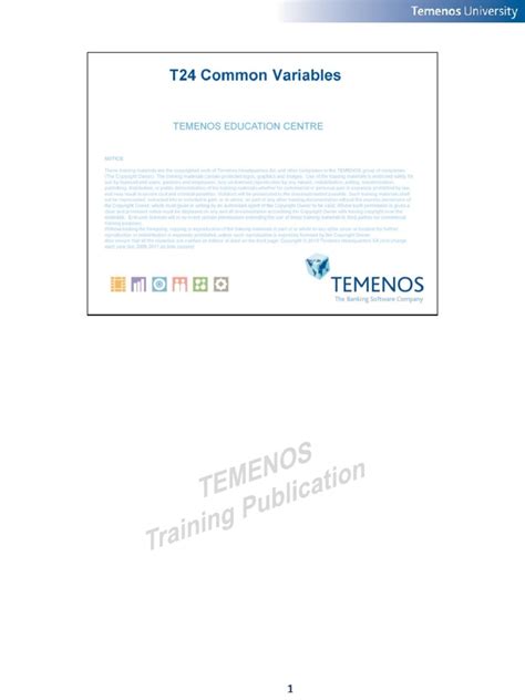 6t24 Common Variables R14 Pdf Control Flow Array Data Structure