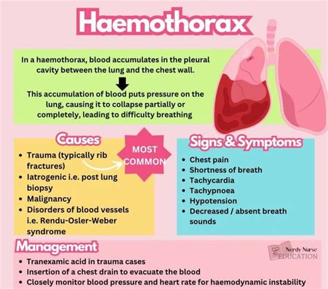 Hemothorax Medizzy