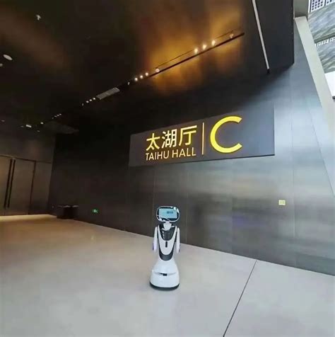 Alpha Robotics Timo Robot Takes You To The “third Meeting Of The 17th