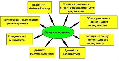 ПОМОГИТЕ ПОЖАЛУЙСТА ДАЮ ВСЕ БАЛЛИ схема структурної організації рослини і тварини