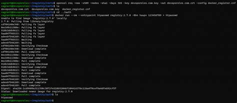 Deploy A Self Hosted Docker Registry DevopsRoles Better