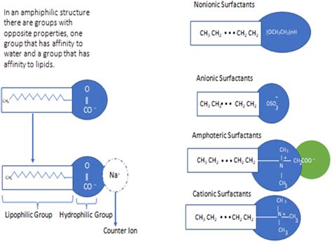 Degreaser Vs Surfactant At Phillip Dorsey Blog