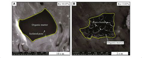 Comparison Of The Development Degree Of Shale Organic Matter Pores