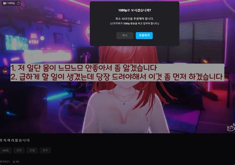 알플 이건 뭐임 버튜버 에펨코리아
