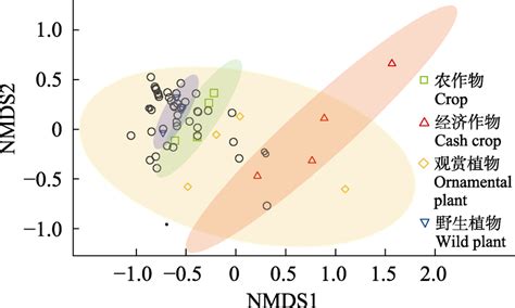 Community Composition Of Pollinator Bees And Wasps Of Four Plant