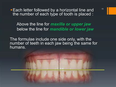Tooth Numbering System PPTX