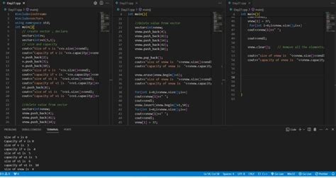 Sarita Kanwar On Linkedin Day27 180daysofcodechallenge Day27 180daysofcode Dsa Cpp Vector