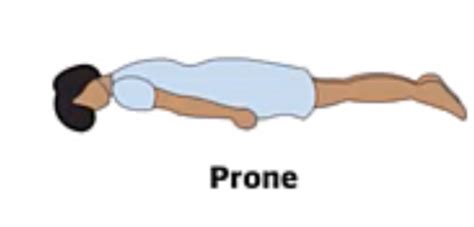 EMT Chapter Three Flashcards Quizlet