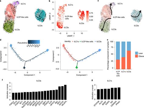 Rna Velocity And Cytotrace Analyses Identify A Shared Ilc Precursor To