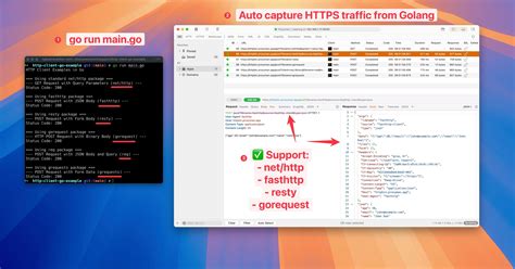 I Could Not See Any Traffic From My Nodejs Python Or Ruby Scripts Proxyman
