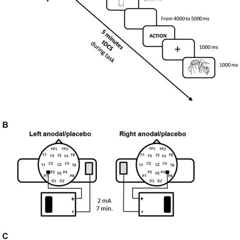 A Experimental Design The Action And Object Naming Task Was Download Scientific Diagram A Experimental Design The Action And Object Naming Task Was Download Scientific Diagram