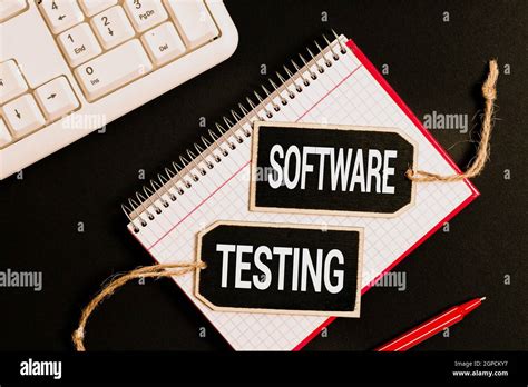Text Caption Presenting Software Testing Business Idea Evaluate The Functionality Of A Software