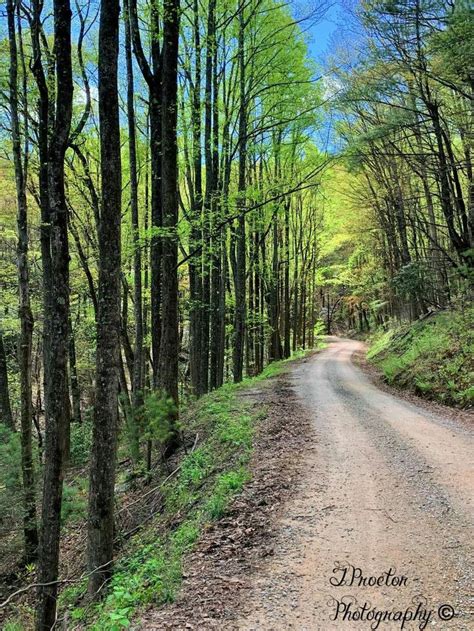 pin by debra mikalauskas on paths part 2 of 2 country roads road