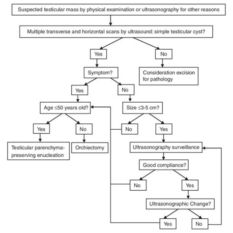 Treatment Algorithm For A Simple Testicular Cyst Download Scientific