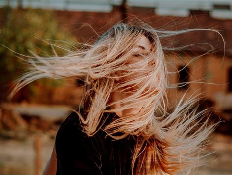 A List Of Bitcoin Treasuries Greycoder