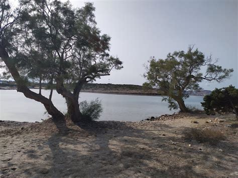 4 αξιολογήσεις για αγια ειρηνη Ένωση στην Πάρος Νότιο Αιγαίο