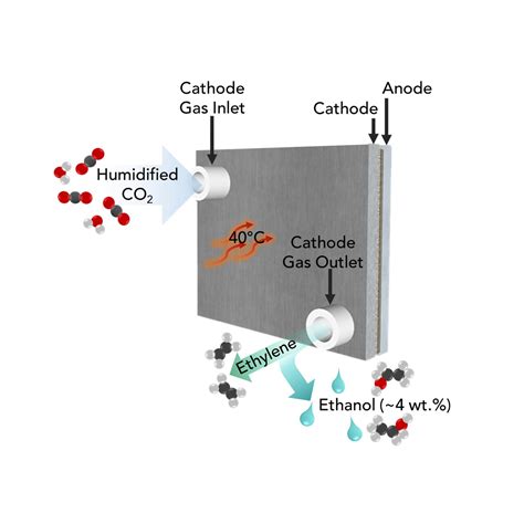 Full List — Sinton Lab