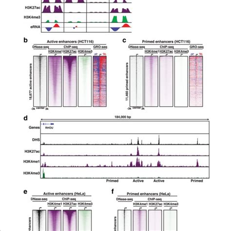 Gro Seq Coverage At Active Versus Primed Enhancers Metagene Plots Of Download Scientific