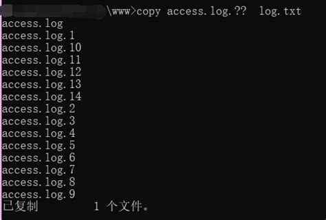 Ctf练习 Log Crypto Csdn博客