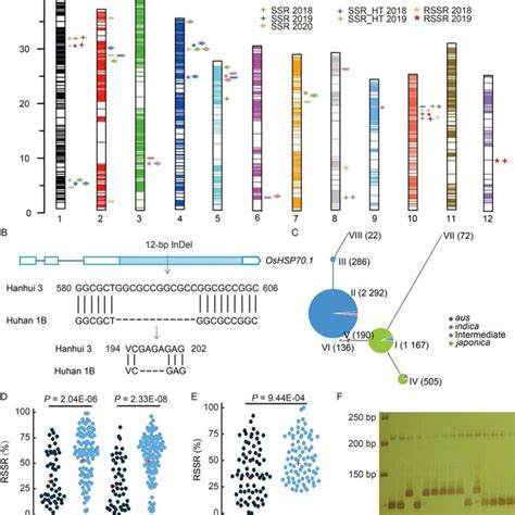 Qtls Detected For Panicle Traits And Heat Tolerance And Haplotype Download Scientific Diagram