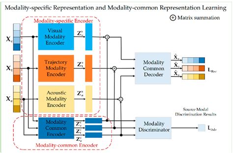 Figure 2 From An Underwater Multi Label Classification Algorithm Based On A Bilayer Graph