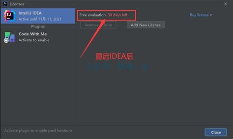 IntelliJ IDEA 永久破解 无限激活 重置试用 详细破解教程工具文末附件下载 ide激活网