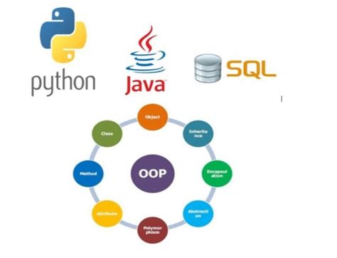 Sppu Students Artificial Intelligence Java Python Sql Certification Drive Tickets