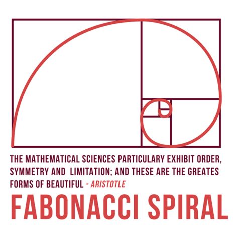 Diseños De Camisetas De Fabonacci Spiral And Más Merch
