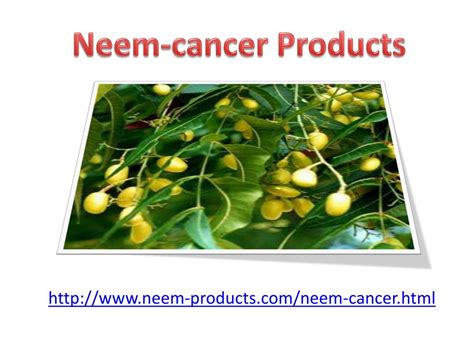 Ppt Amazing Benefits And Uses Of Neem Products Powerpoint