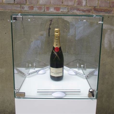 Glass Display Case With Locking Door Art Plinths Jewellery Case