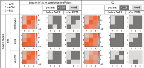 Correlation Matrices For The Size Parameters Of A Single‐muscle Download Scientific Diagram