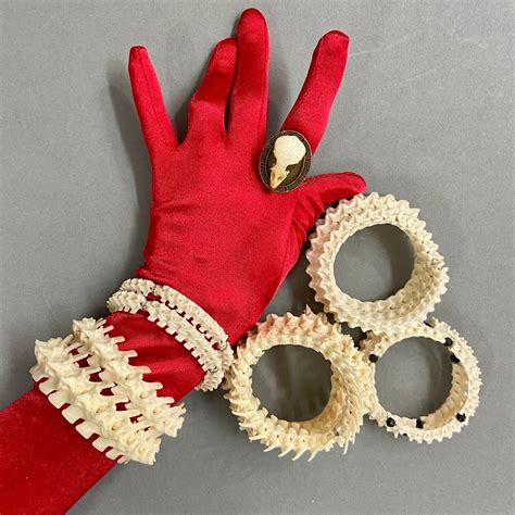 🐍🦴 Slither Home With Python Oddities And Curiosities Expo Facebook