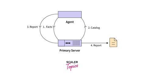What Is A Puppet In Devops Scaler Topics