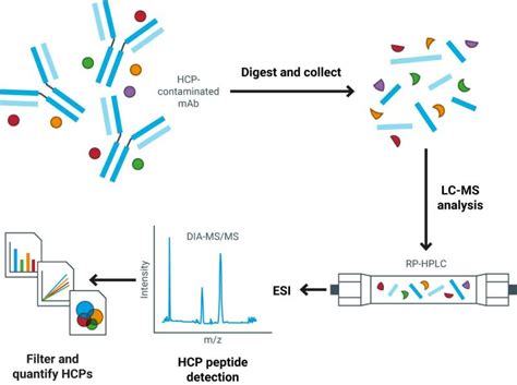 Lindsay Mcgowan On Linkedin Host Cell Protein Analysis Service