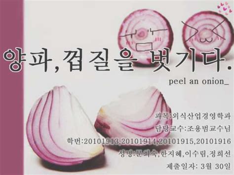 양파 껍질을 벗기다pptx Ppt