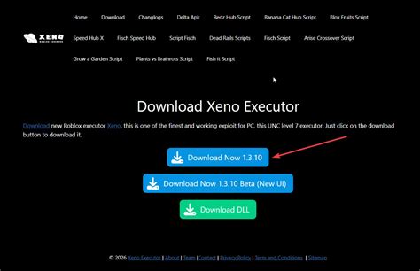 Roblox에서 Xeno Executor 사용법