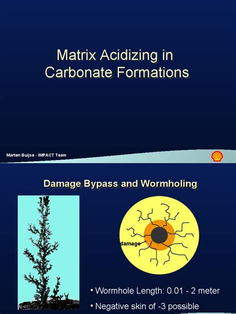 Carbonate Acidizing Pdf