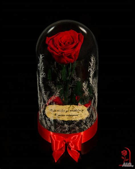 Вечна ЕСТЕСТВЕНА роза в стъкленица ”Красавицата и Звяра” Оригинален Подарък за Приятелка