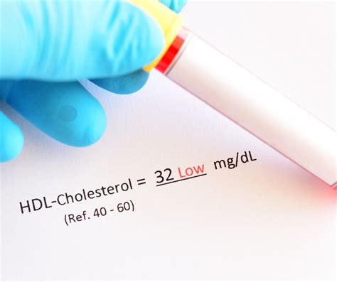P Hdl Kolesterol Vad Det är Varför Det är Viktigt Och Hur Du Påverkar Det