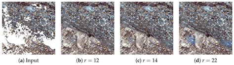 Fast Thick Cloud Removal For Multi Temporal Remote Sensing Imagery Via Representation
