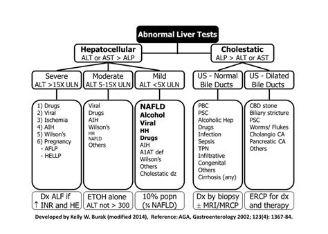 Liver Test Chart