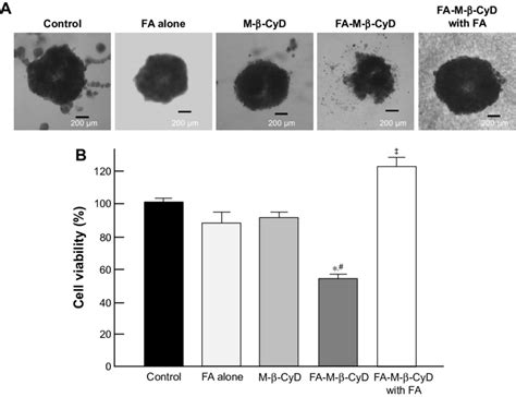 Cytotoxic Activity Of M β Cyds For Spheroids Of Kb Cells Notes A Download Scientific