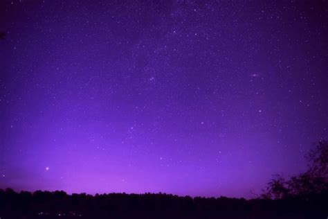 Dark Forest Night Purple Sky Over 3215 Royalty Free Licensable Stock